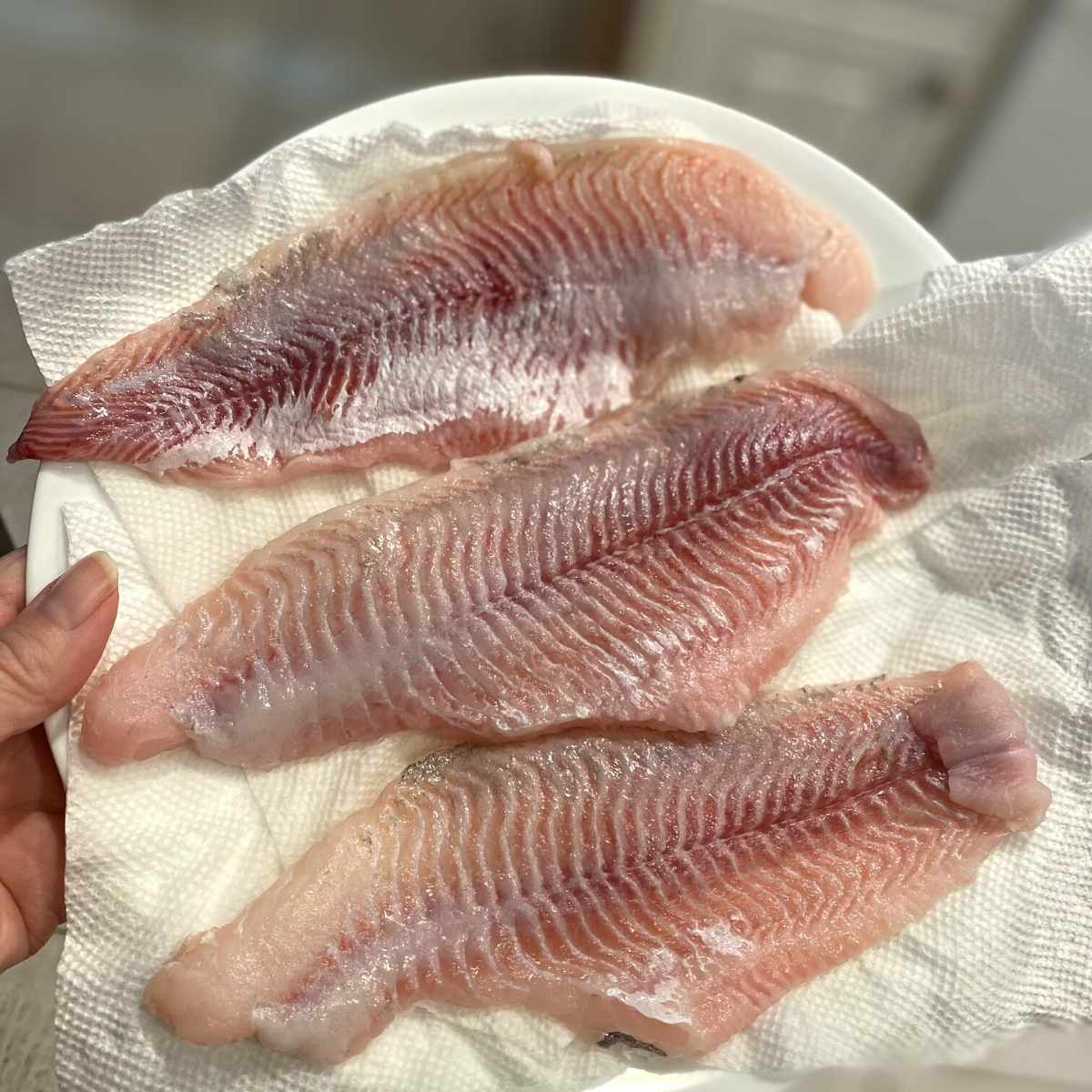 Catfish Fillet